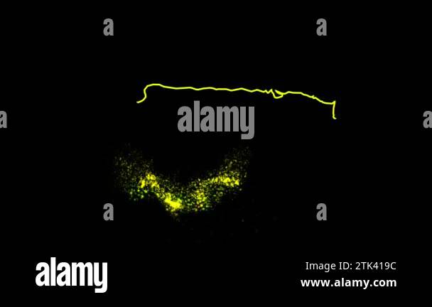Puerto rico digital map Stock Videos & Footage - HD and 4K Video Clips ...