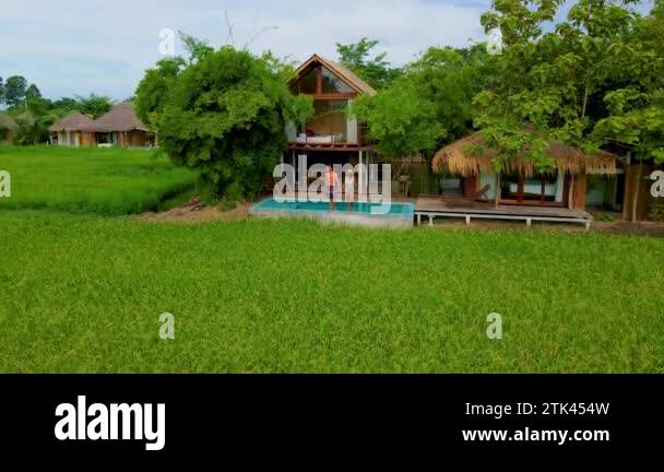 Bamboo hut homestay farm with Green rice paddy fields in Central ...