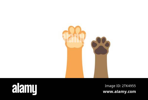 Paws up pets animation with optional luma matte. Alpha Luma Matte ...