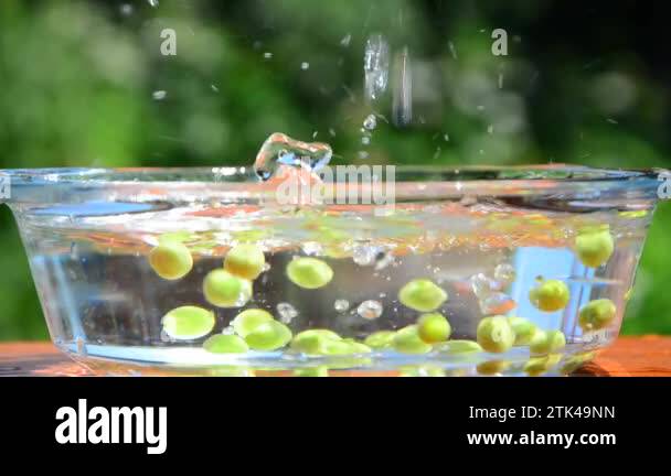 Spilling grass seed Stock Videos & Footage - HD and 4K Video Clips - Alamy