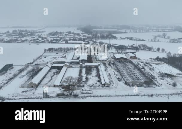 Agricultural farm winter frost snow drone aerial for breeding cattle ...