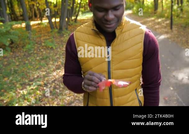 African maple Stock Videos & Footage - HD and 4K Video Clips - Alamy