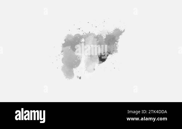 Ink splatters transition animation. Ink brush stroke transition. Ink ...