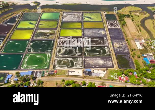 Aerial view of Pump ponds at a shrimp farm in the Philippines.Prawn ...