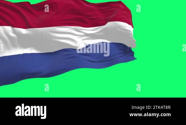 The national flag of the Netherlands waving in the wind isolated on a ...