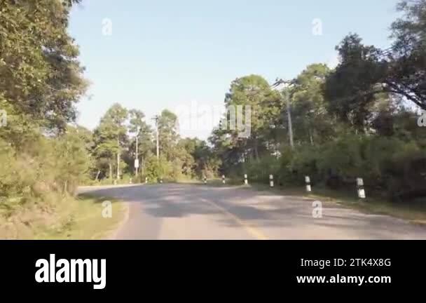 front driver view while traveling on the local road surround with pine ...