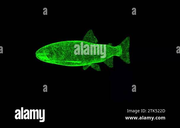 Bg backdrop Stock Videos & Footage - HD and 4K Video Clips - Alamy