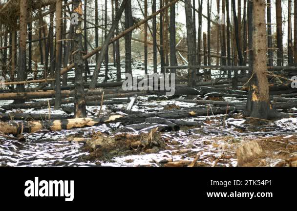 Natural disaster fire stand Stock Videos & Footage - HD and 4K Video ...