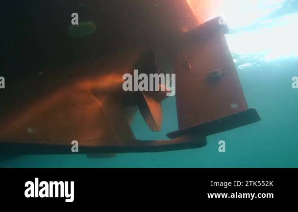 Underwater part Stock Videos & Footage - HD and 4K Video Clips - Alamy