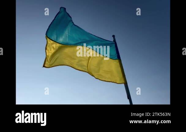 Yellow-blue flag of Ukraine fluttering in a wind against a blue sky. A ...