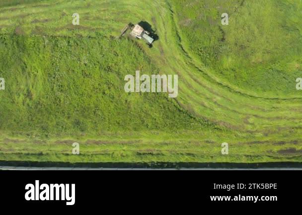 Summer Haymaking with a tractor mower. Tractor mows green grass to dry ...