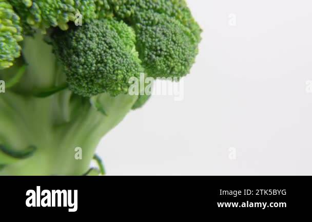 Micro vegetable re cabbage Stock Videos & Footage - HD and 4K Video ...