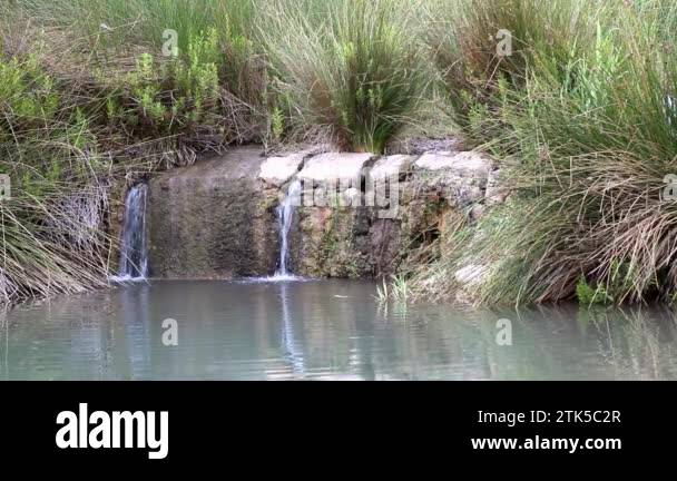 An idyllic paradise setting Stock Videos & Footage - HD and 4K Video ...