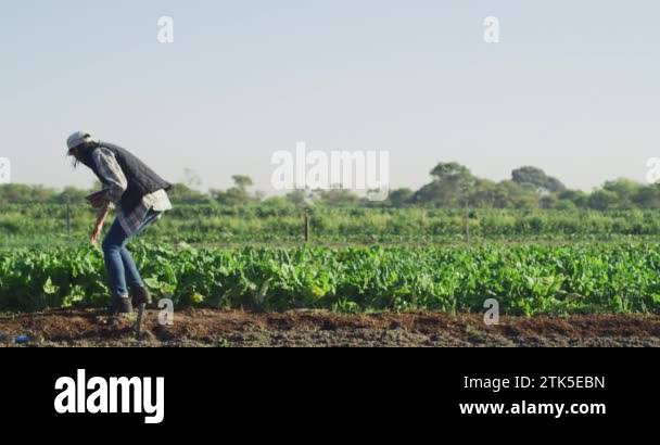 Anaylsis Stock Videos & Footage - HD and 4K Video Clips - Alamy