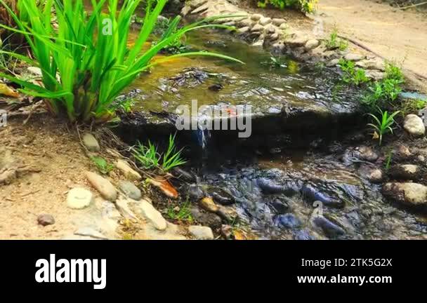 Decorative stone stream with clear spring water in a nature reserve ...