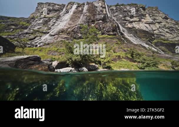 Weed dance Stock Videos & Footage - HD and 4K Video Clips - Alamy