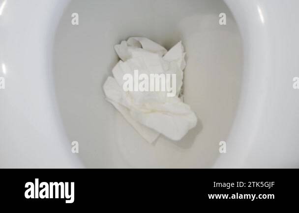 A Person Throws Toilet Paper into the Toilet and Flushes the Water. Man ...