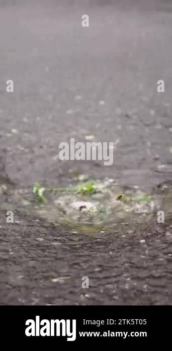 Vertical video, Real time, Swift stream of rainwater flows into storm ...