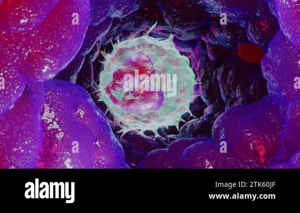 Animated Eosinophiles type Leukocyte cell, white blood cells, 3d render ...