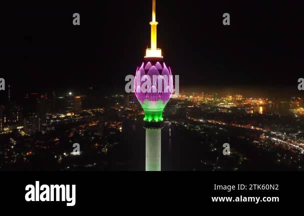 Gradually changing colour of petals on lotus flower. Amazing elevated ...