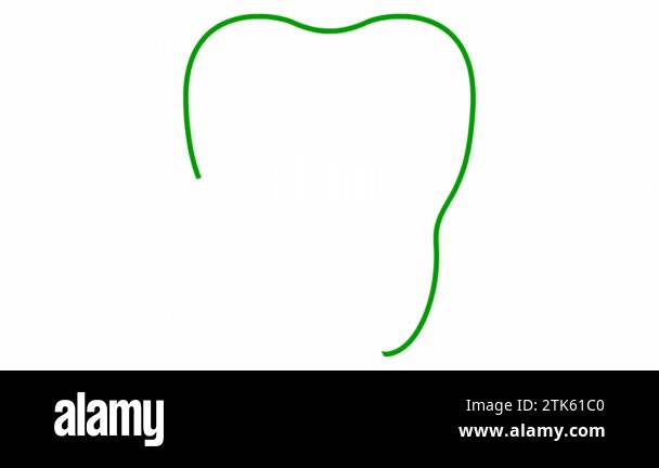 The animated tooth symbol is drawn gradually. Linear green icon of ...