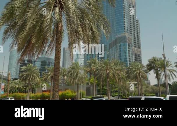 Palm tree city Stock Videos & Footage - HD and 4K Video Clips - Alamy