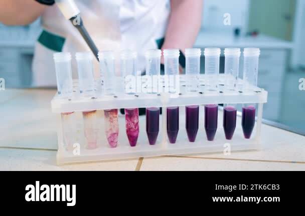 Laboratory Worker conducting Experiment with DNA Molecules. Female ...