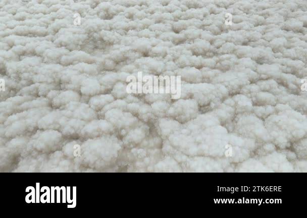 Sea world Stock Videos & Footage - HD and 4K Video Clips - Alamy