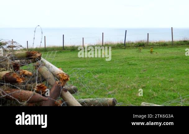 Rotten poles Stock Videos & Footage - HD and 4K Video Clips - Alamy
