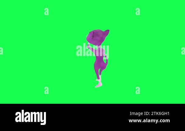 3D animated talking cat doing a beautiful break dance from a right ...