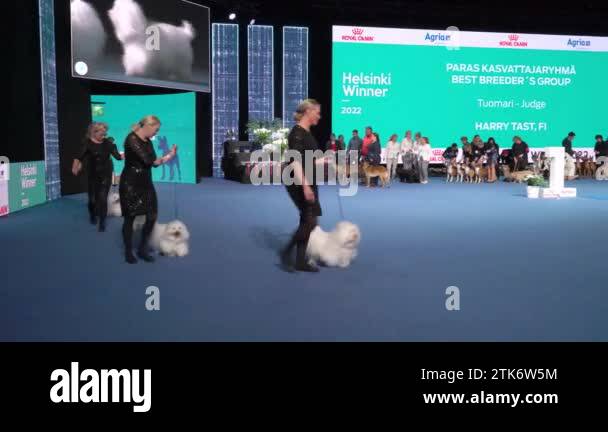 HELSINKI, FINLAND - DEC 02, 2022: Dog owners represent their pets at ...