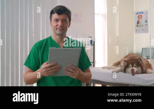Portrait of man with big dog Stock Videos & Footage - HD and 4K Video ...