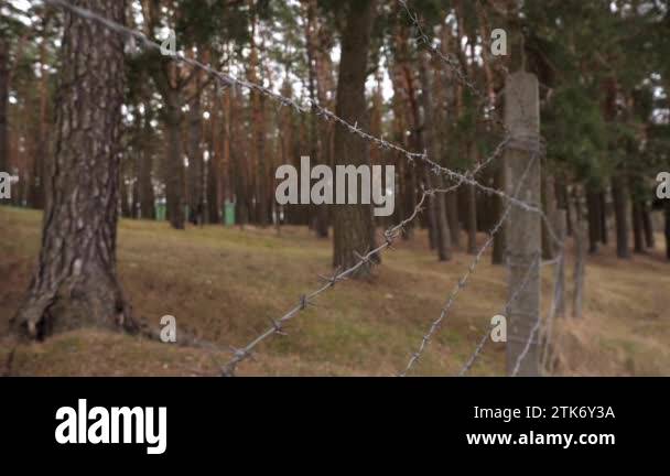 Barbed wire fence separating the territory of the restricted area ...