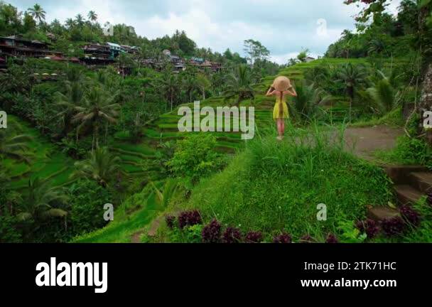 Rice paddy hat Stock Videos & Footage - HD and 4K Video Clips - Alamy