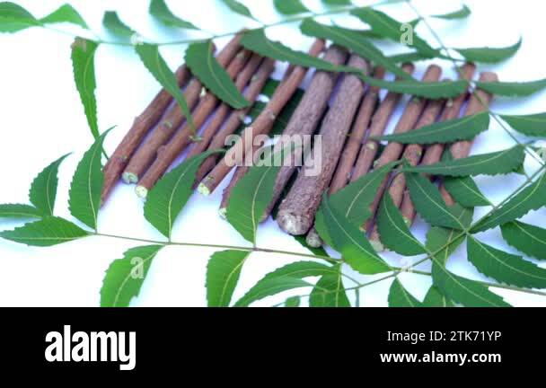 Neem is an excellent moisturizing and contains various compounds that ...