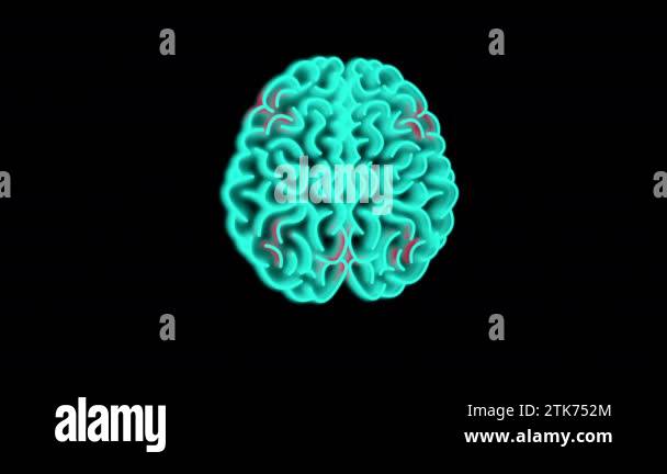 Electric human brain activity, nerve - neurons cells, processing information. High quality 4k ...