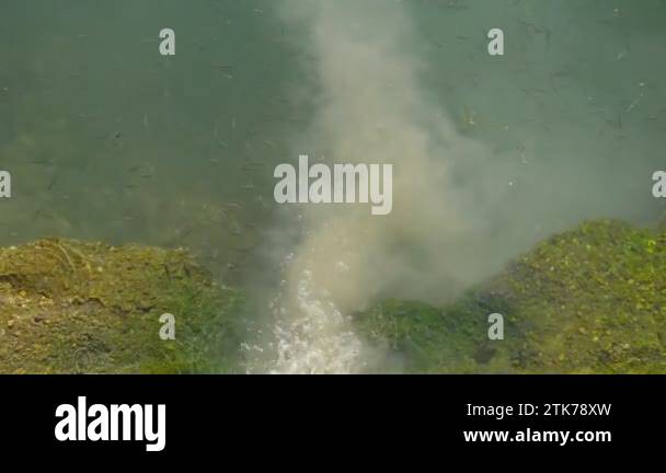 Environmental pollution from wastewater. Discharge of untreated water ...