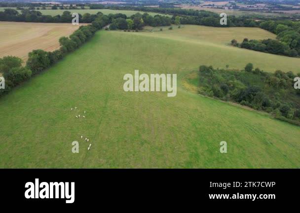 High Angle View of British Sheep Farm and Gorgeous Landscape and ...