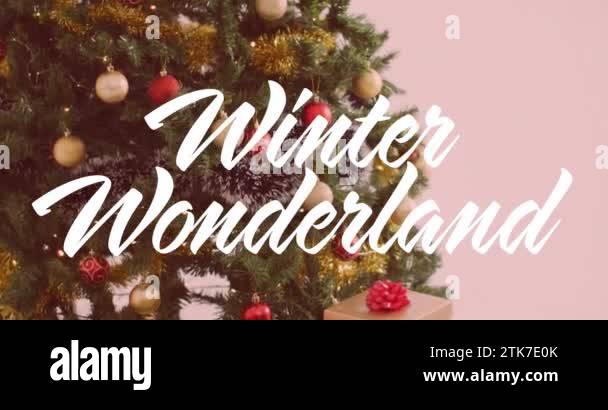 Winter wonderland animation Stock Videos & Footage - HD and 4K Video ...