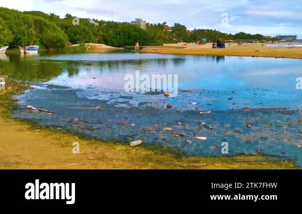 Dirty green polluted and garbage river in Zicatela Puerto Escondido ...