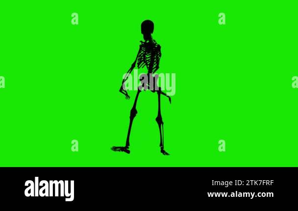 Skeleton zombie silhouette walking. Creepy skeleton with long fingers ...