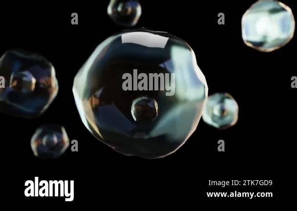 Red blood cell nucleus Stock Videos & Footage - HD and 4K Video Clips ...