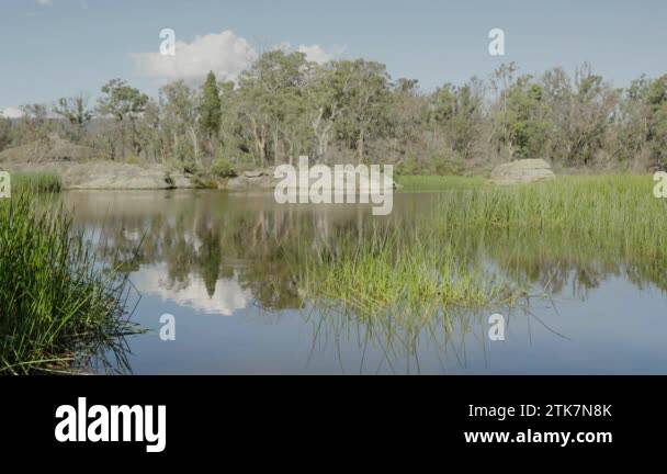 rock formation known as beehive pagoda at dunns swamp. dunns swamp is a ...