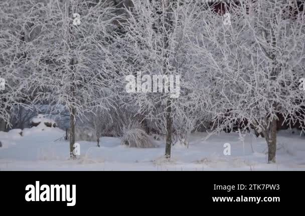 Frosty house Stock Videos & Footage - HD and 4K Video Clips - Alamy