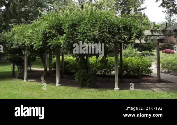 Pathway path structure Stock Videos & Footage - HD and 4K Video Clips ...