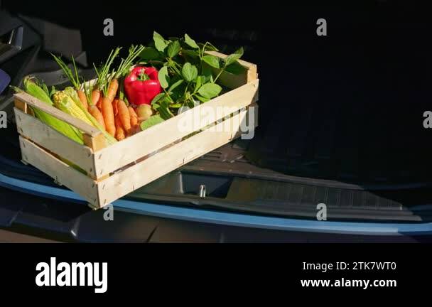 Selling standing Stock Videos & Footage - HD and 4K Video Clips - Alamy