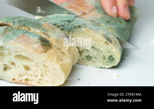 Cutting moldy bread with a knife. Mold on food, the danger of eating ...