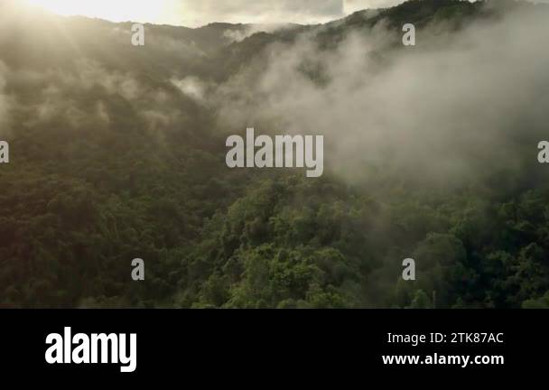 A breathtaking aerial scenery of lush green tropical rainforest ...