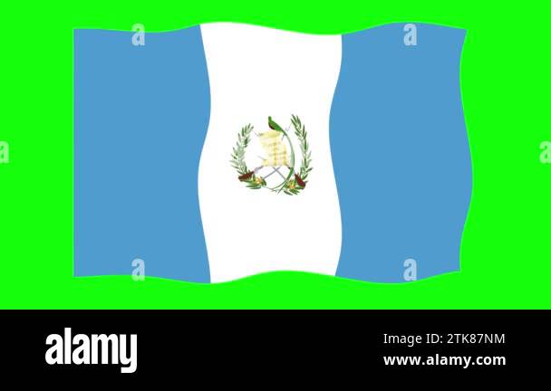 Guatemala Waving Flag 2D Animation on Green Screen Background. Looping ...