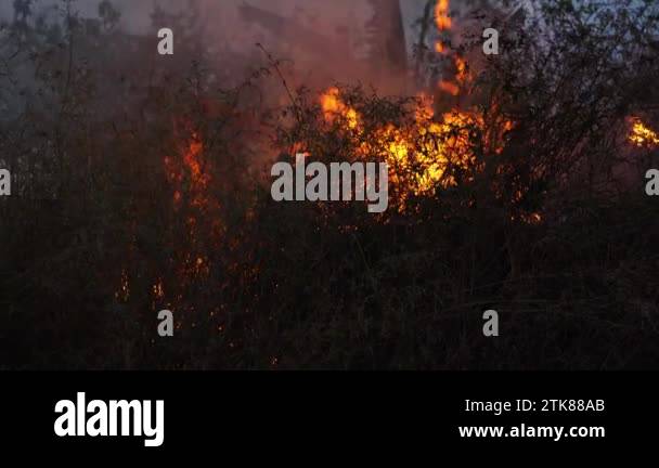 Fire season in west Stock Videos & Footage - HD and 4K Video Clips - Alamy